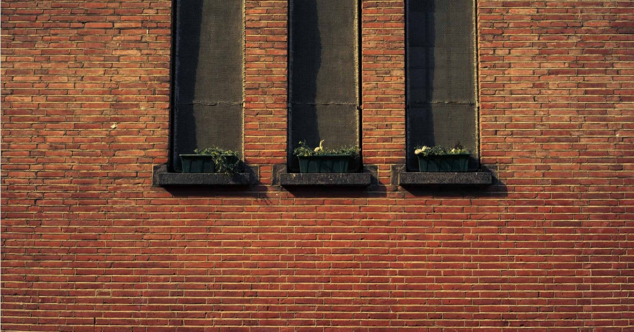 Simple Project Plan Template: How To Plan A Project In 1 Hour Or Less ...