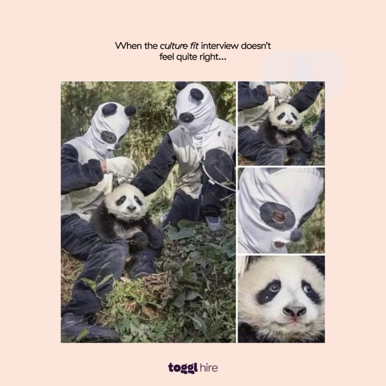 HR Memes - Funniest Memes about HR, Job Applications and Interviews.