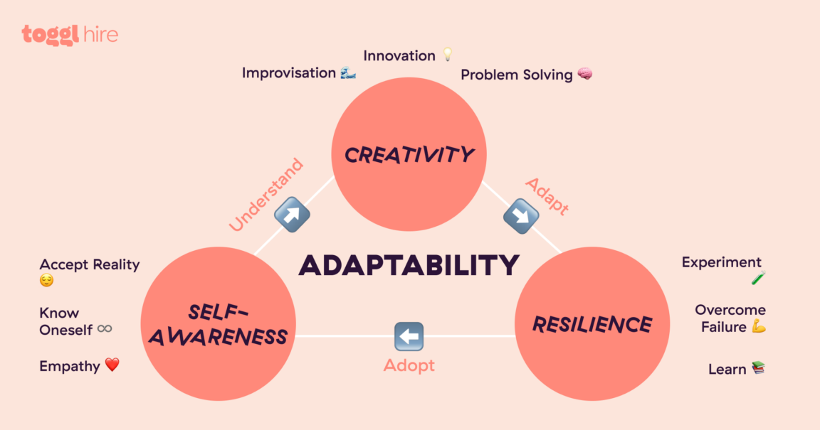 6 Meta Skills Candidates Need in 2024 • Toggl Hire