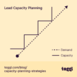 Capacity Planning Strategies: Types, Examples, Pros And Cons