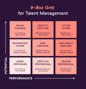 The 9 Box Grid: the Ultimate Guide for Talent Teams • Toggl Hire