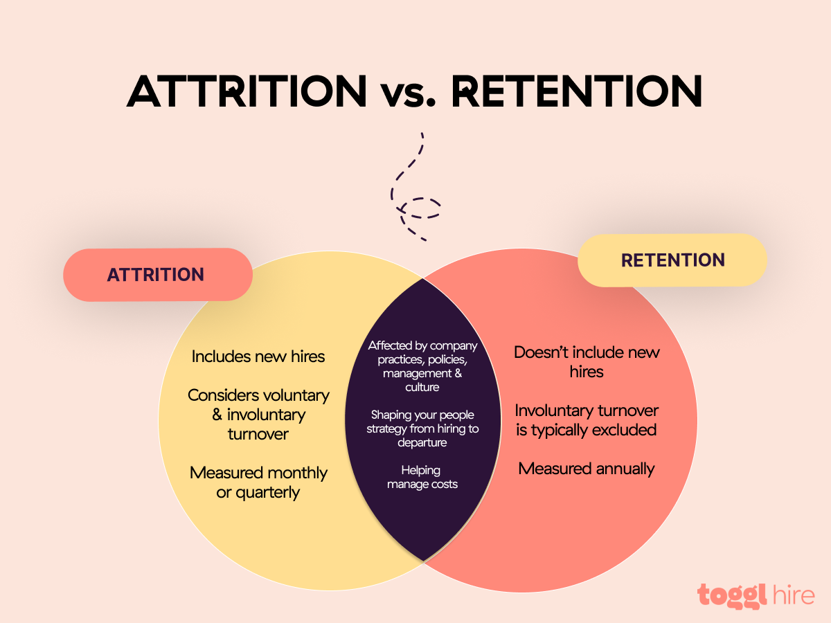 Employee Attrition Rate: How to Calculate & Improve It • Toggl Hire