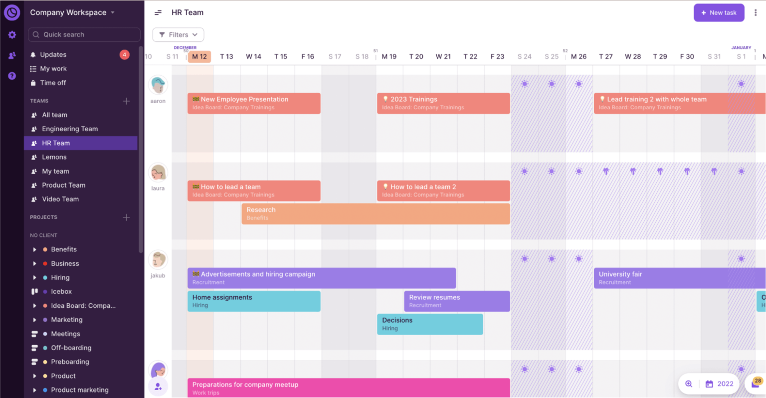 Project Team Roles: Responsibilities, Benefits, Management